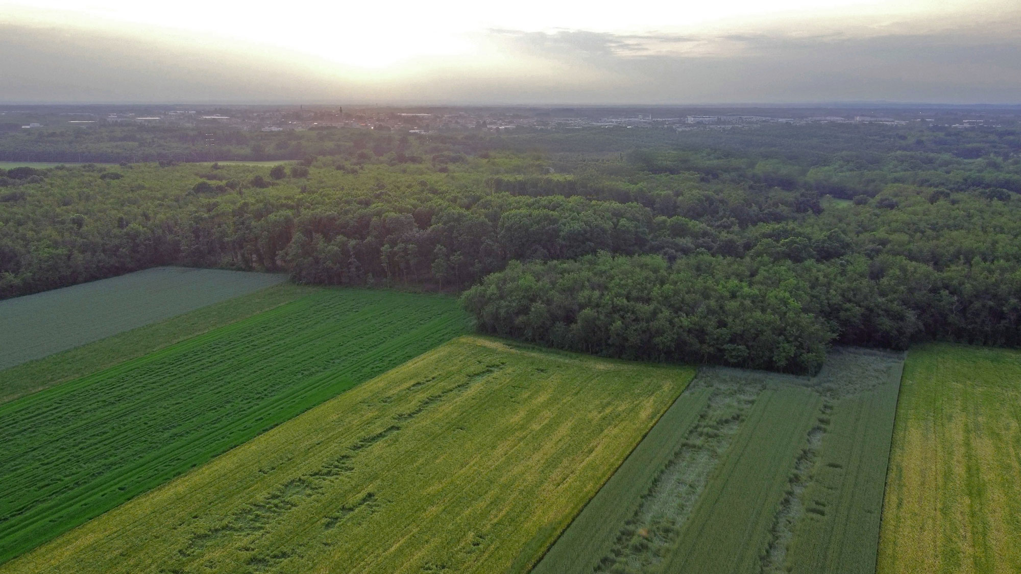 Parco delle Roggie – Comune di Magnago
